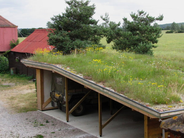 What are Rooftop Gardens? - Korotkin Associates