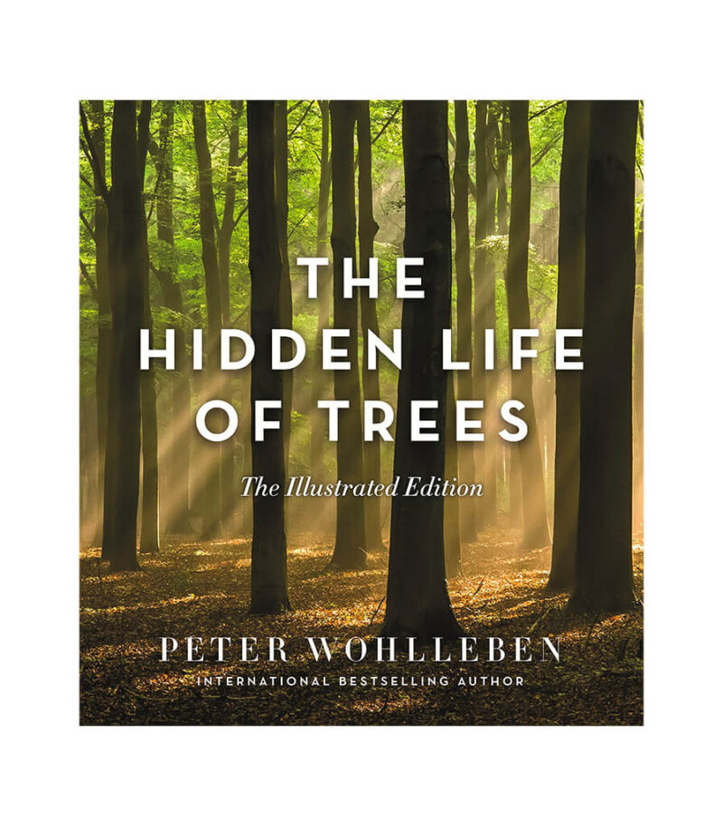 The Hidden Life of Trees: Illustrated Edition - Korotkin Associates